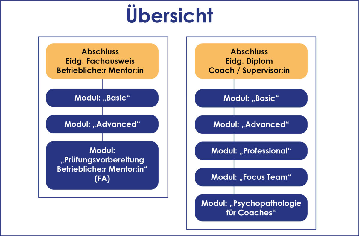 Module – Praxis Brücke